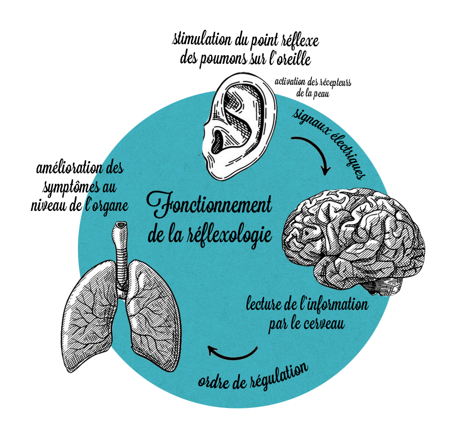 Découvrez la réflexologie - Jeanne Frémont